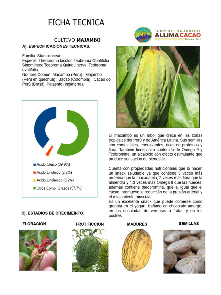 Fichas-tecnicas-Cultivo de Majambo | PDF | Maíz | Chocolate