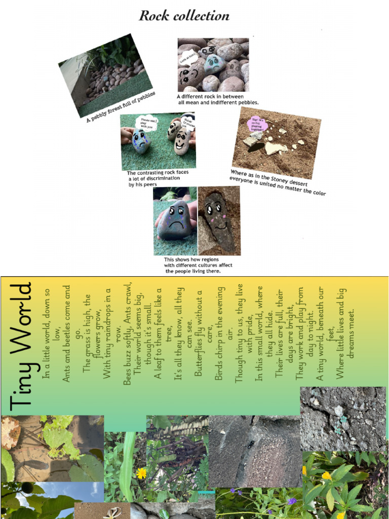 Photo Stories | PDF