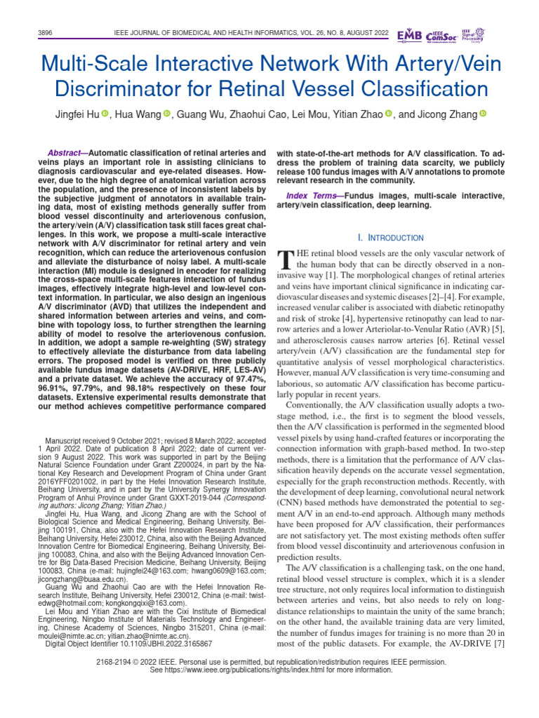 Multi-Scale Interactive Network With Artery Vein Discriminator For Retinal Vessel Classification ...