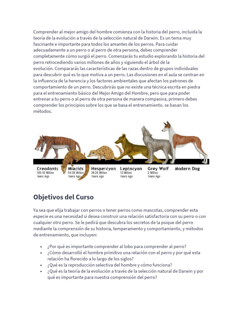 Conociendo Al Perro | PDF | Perros | del perro