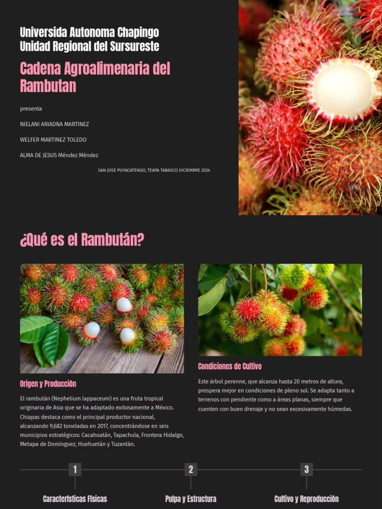 Cadena agroalimentara del rambutan | PDF | Cosecha | Agricultura