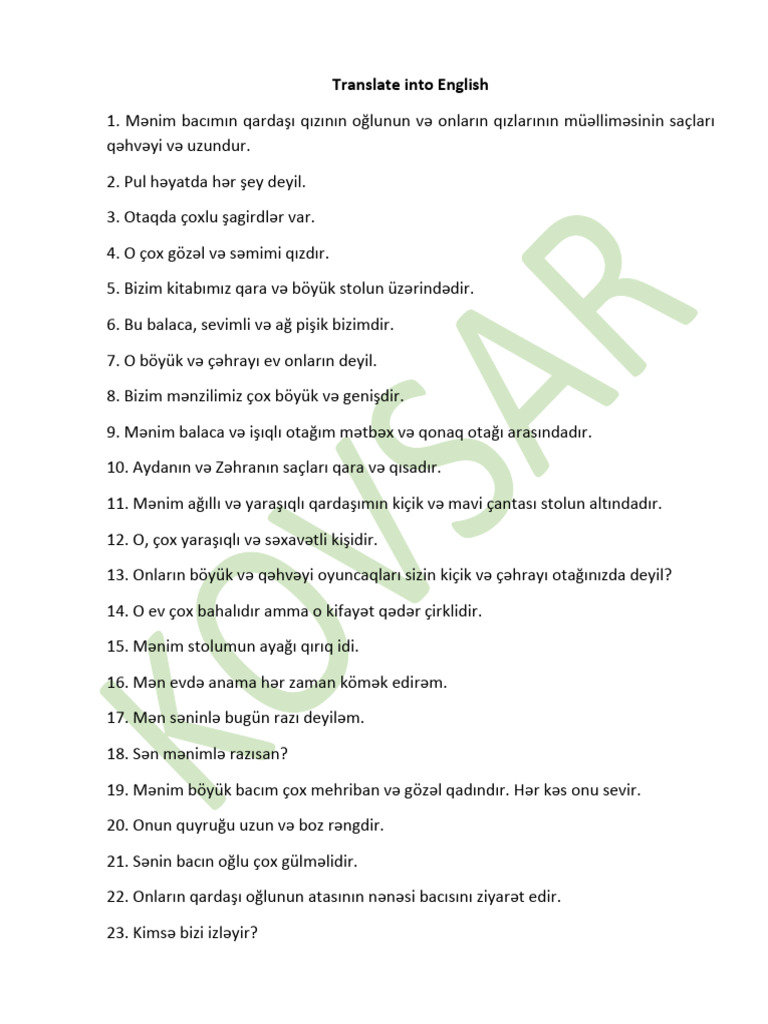 TRANSLATE Sentences Into English | PDF