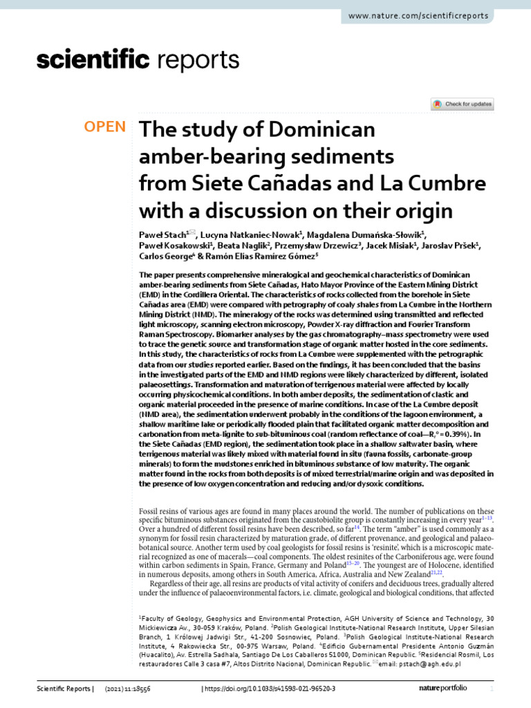 Dominican Amber Deposits Research Data | PDF | Gas Chromatography | Pyrolysis