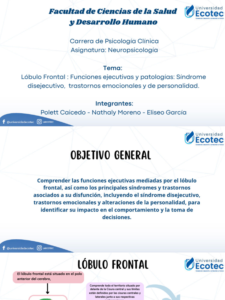 Funciones Ejecutivas y Patologías del Lóbulo Frontal | PDF | Lóbulo ...