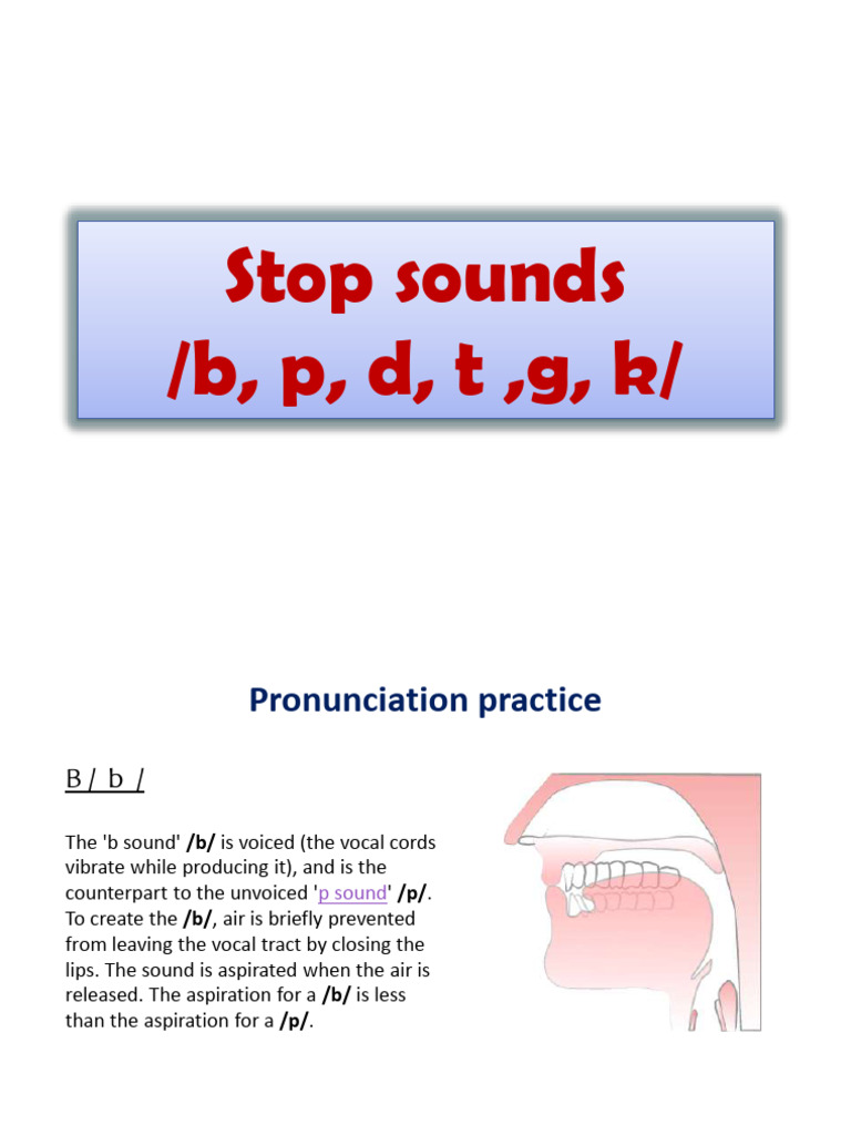Stop Sounds | PDF | Linguistics | Human Voice