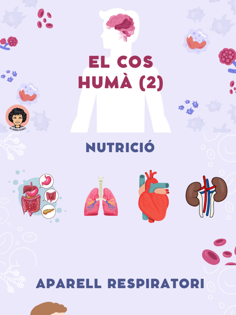 El Cos Huma 2 | PDF
