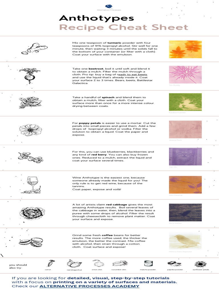 Anthotype Cheat Sheet | PDF | Beetroot | Coffee