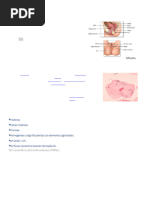 Tipos y causas de leucorrea vaginal | PDF | Especialidades Medicas ...