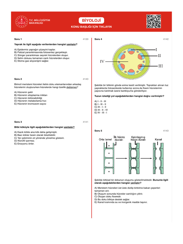 OGM Materyal 1 | PDF