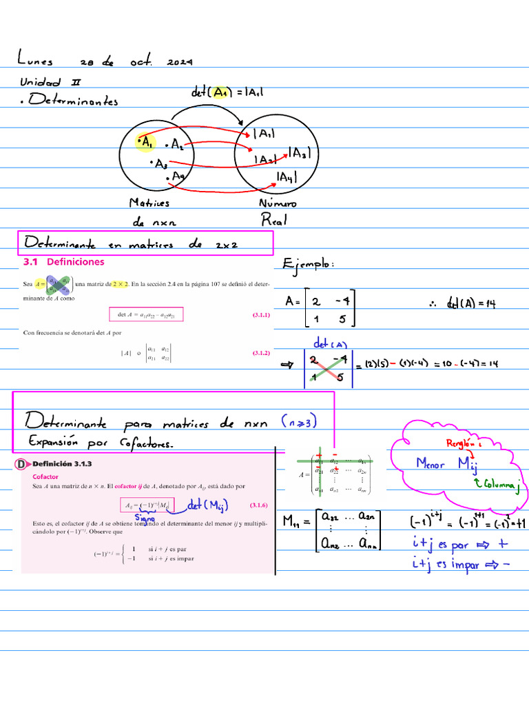 3ER PAC 2024 Vectores y M APUNTES - Annotated | PDF