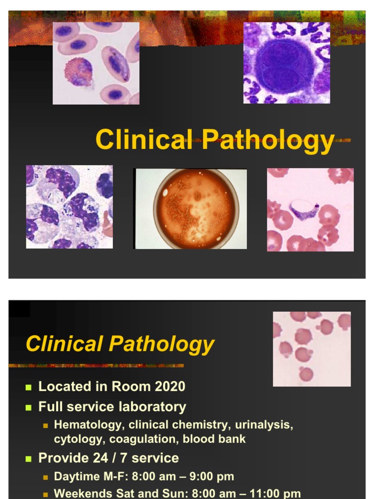 04 Clinical Pathology | PDF | Medical Microbiology | Pathology