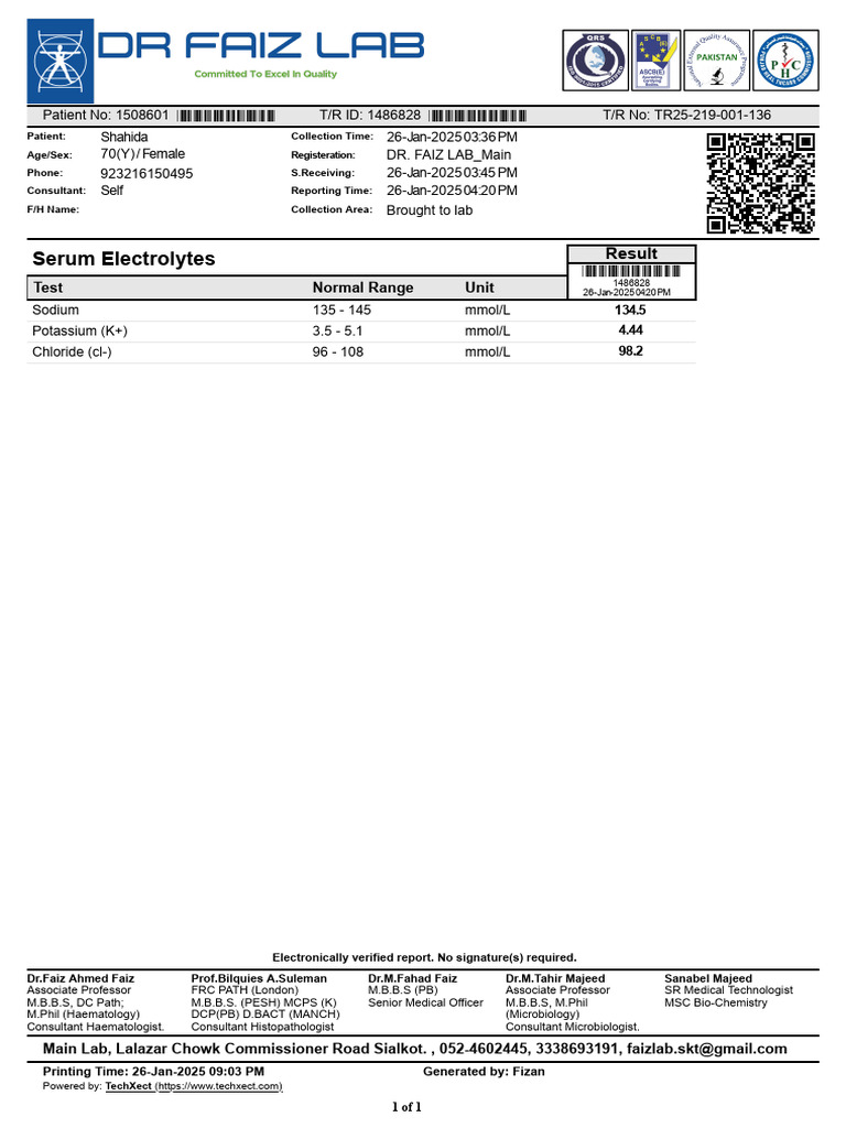 Serum Electrolyte Test Results | PDF