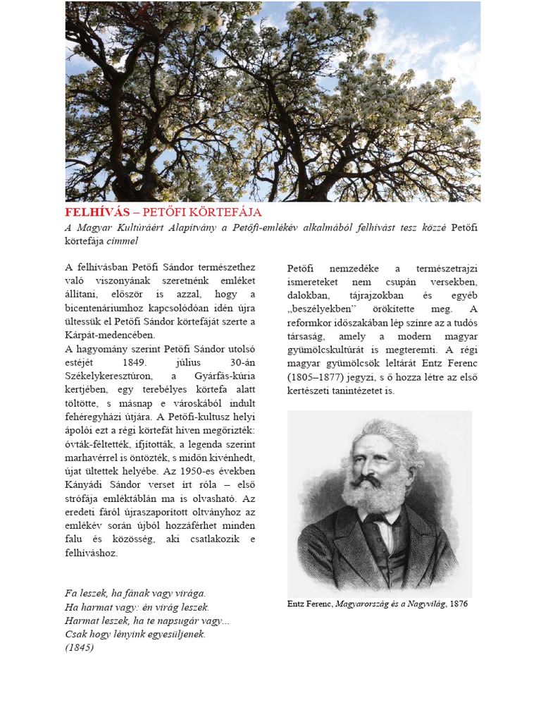 Petofi-Kortefaja MKA Felhivas | PDF