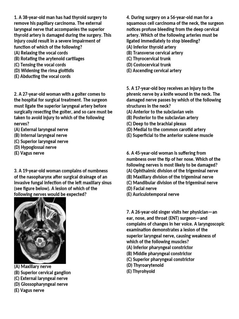Head and Neck BRS Questions | PDF | Common Carotid Artery | Larynx