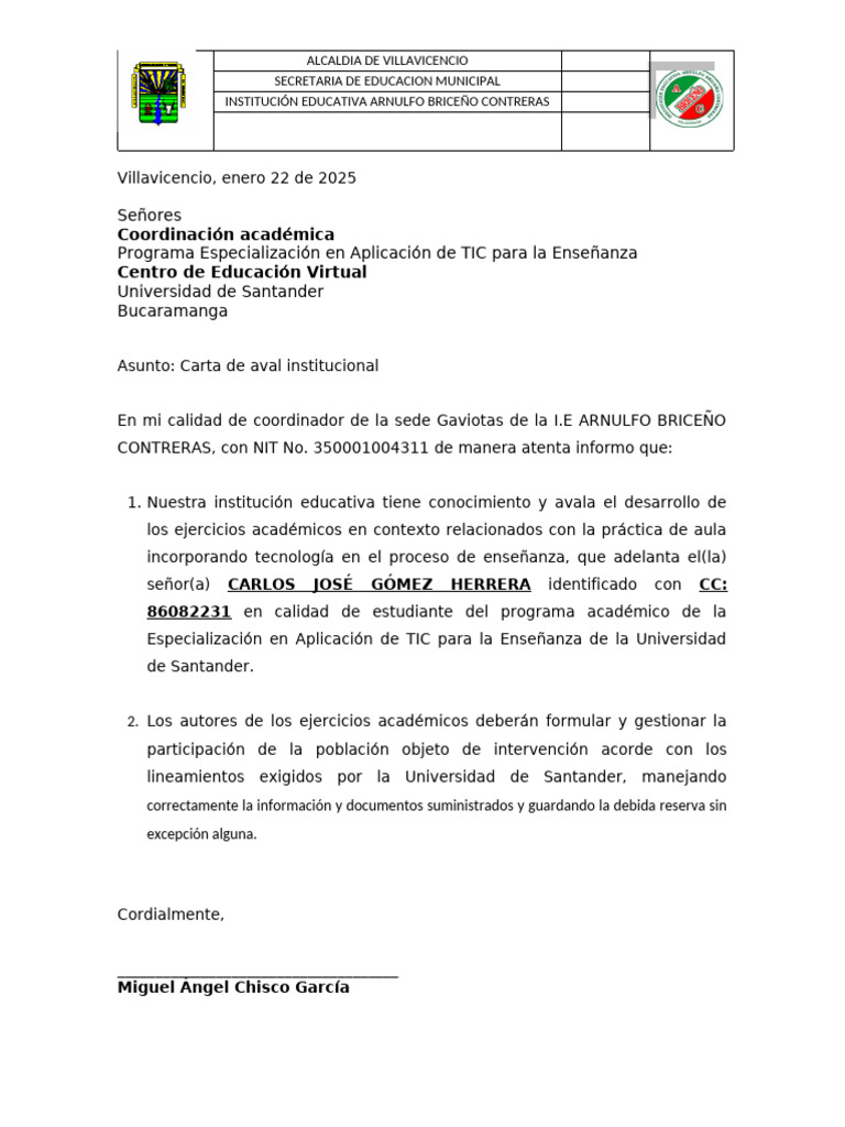 Carta Aval Institucional | PDF