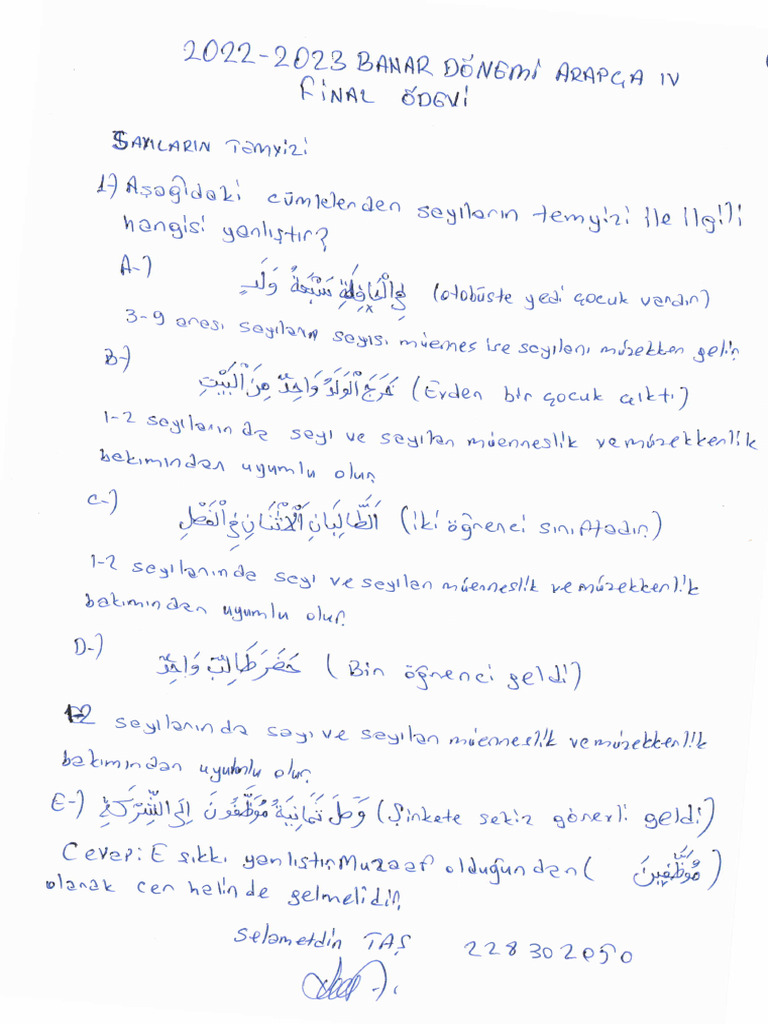 Arapca Odevi 1 | PDF