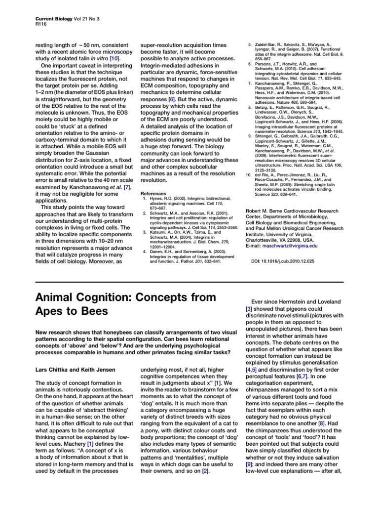Animal Cognition Concepts From Apes to Bees | PDF | Concept ...