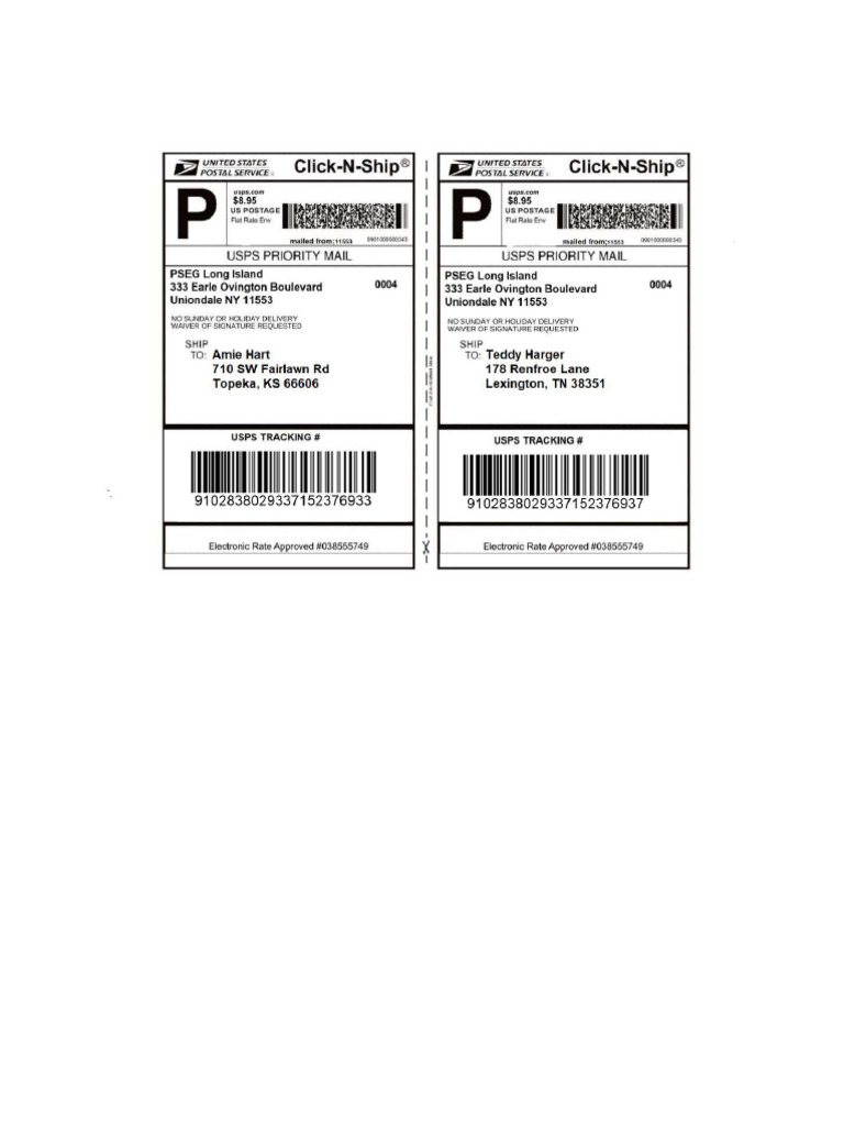 usps 2 days priority label for Amie | PDF