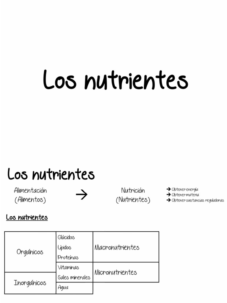 BG3T3.1.- Los Nutrientes (Imágenes) | PDF