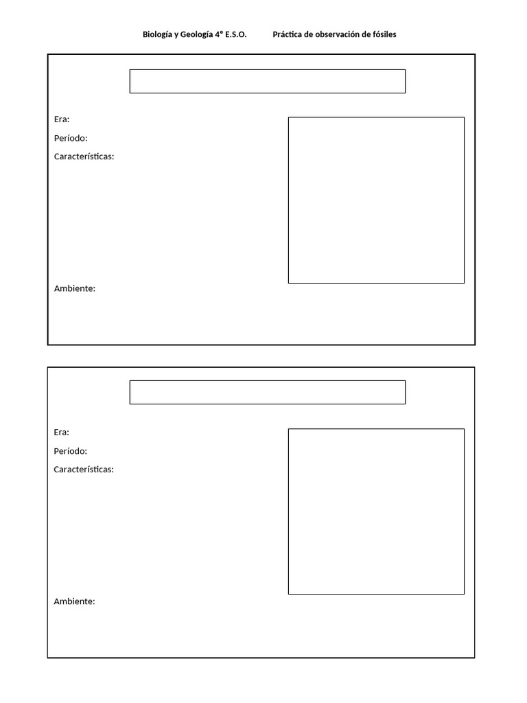 Ficha Modelo Fosiles | PDF