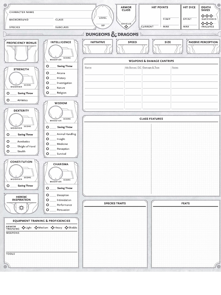 DND Character Sheet | PDF