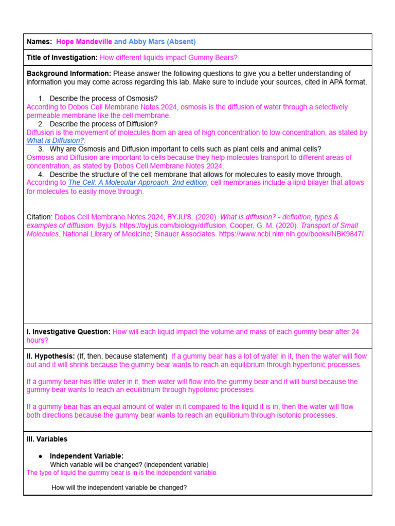 Gummy Bear Osmosis Experiment Results | PDF | Osmosis | Cell Membrane