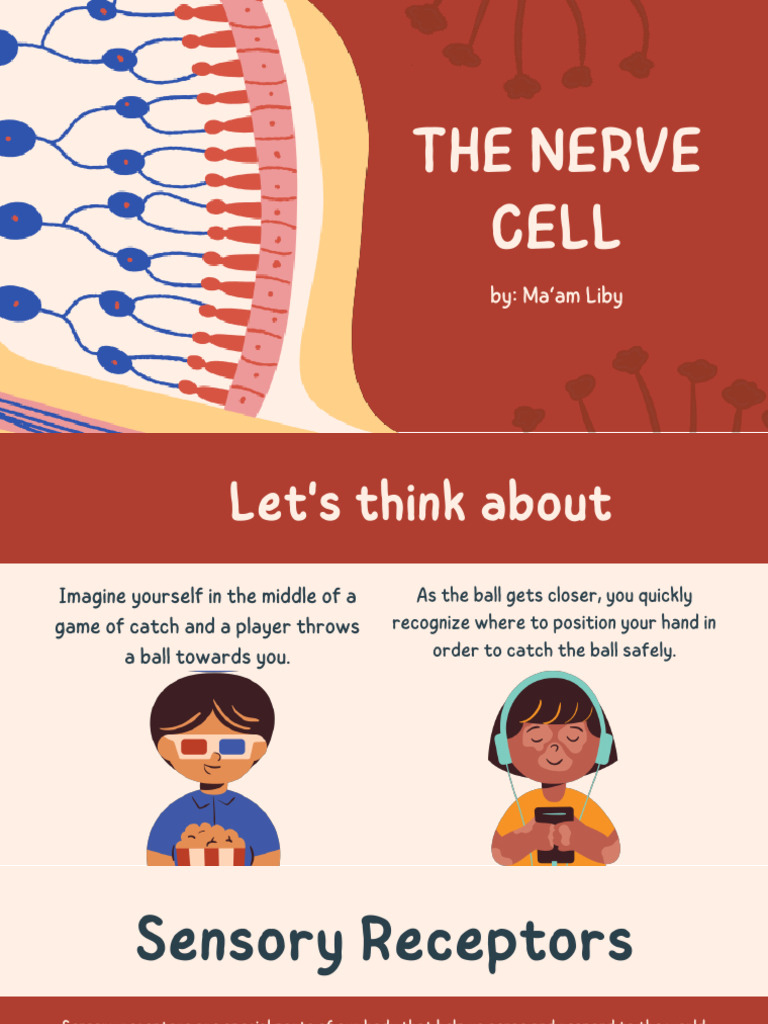NERVE CELL Student File | PDF