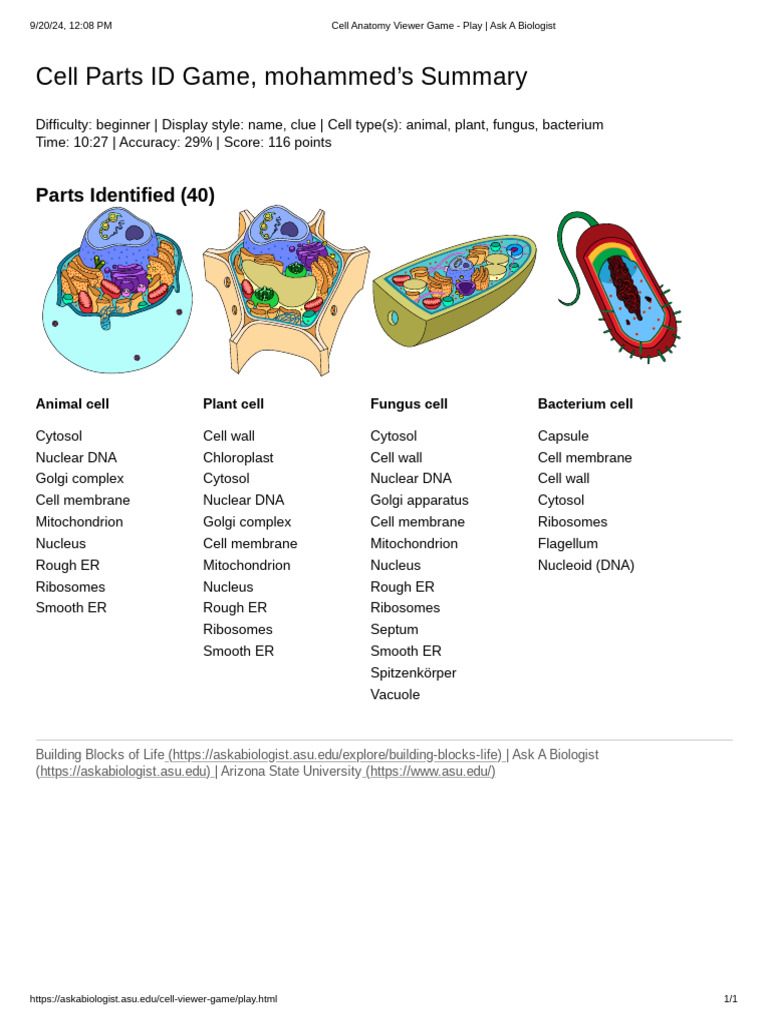 Cell Anatomy Viewer Game Summary | PDF
