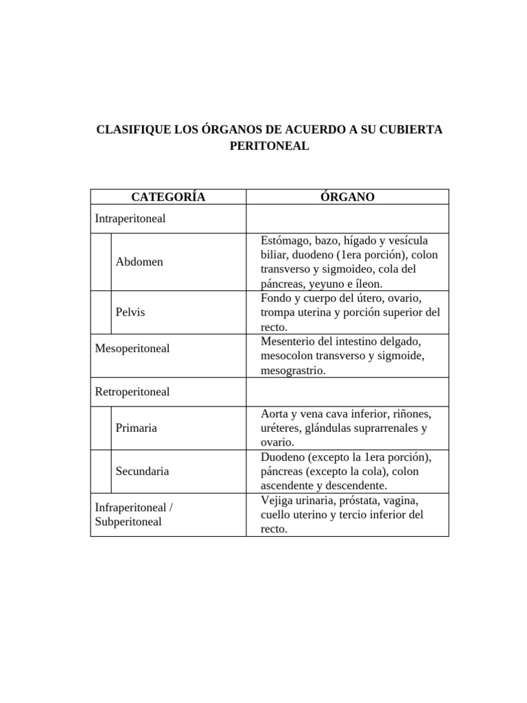 3-Cuadro Anato Peritoneo | PDF