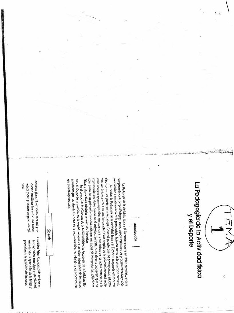 Material complementario T2- PEFD | PDF