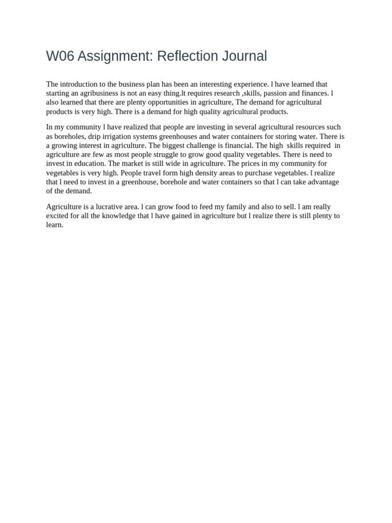 W06 Assignment Reflection Journal | PDF