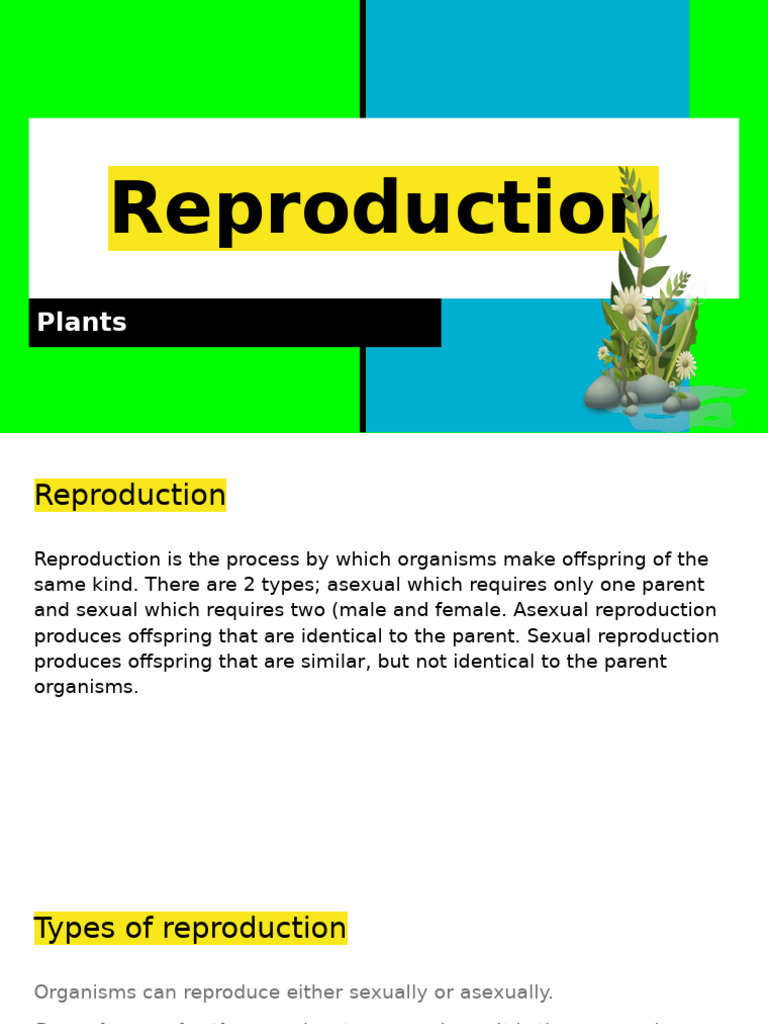 Plant Reproduction: Asexual vs. Sexual | PDF | Sexual Reproduction ...
