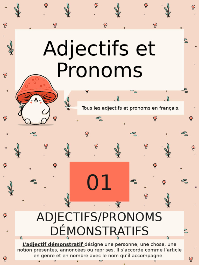 Adjectifs Et Pronoms | PDF | Pronom | Nombre grammatical