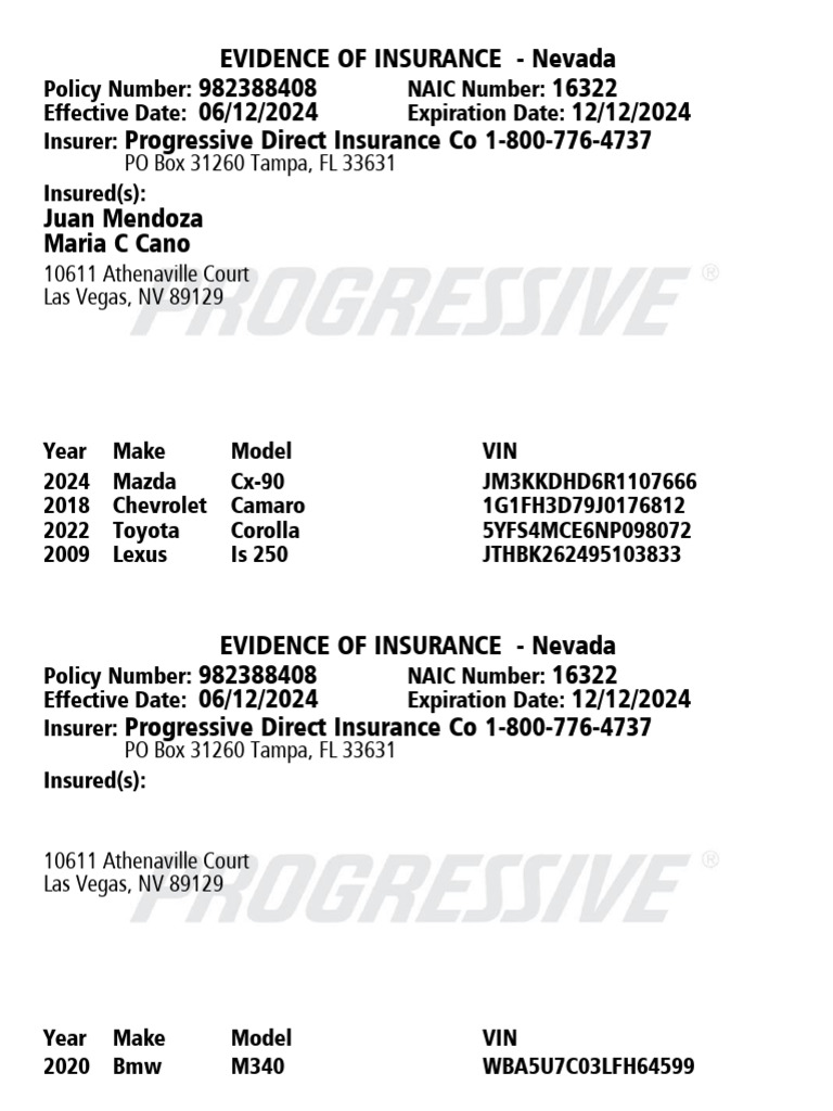 P GR Insurance Id Card Auto | PDF | Vehicle Industry | Land Vehicles