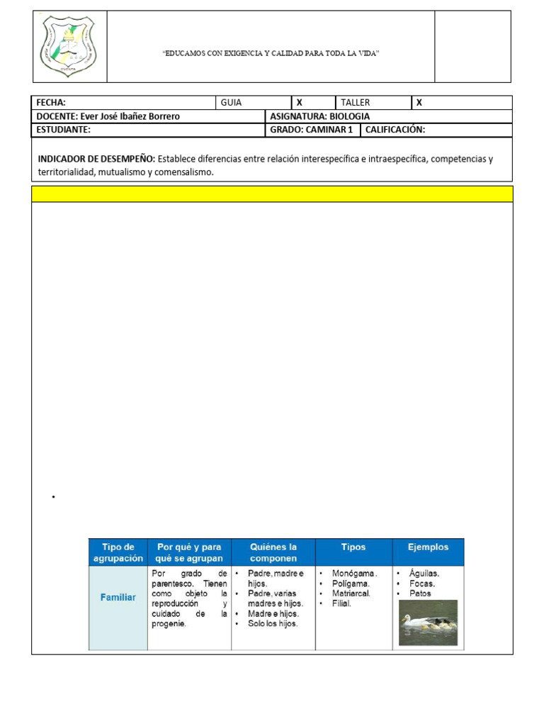 Guía N5. Interacciones de seres vivos en un ecosistema. | PDF ...