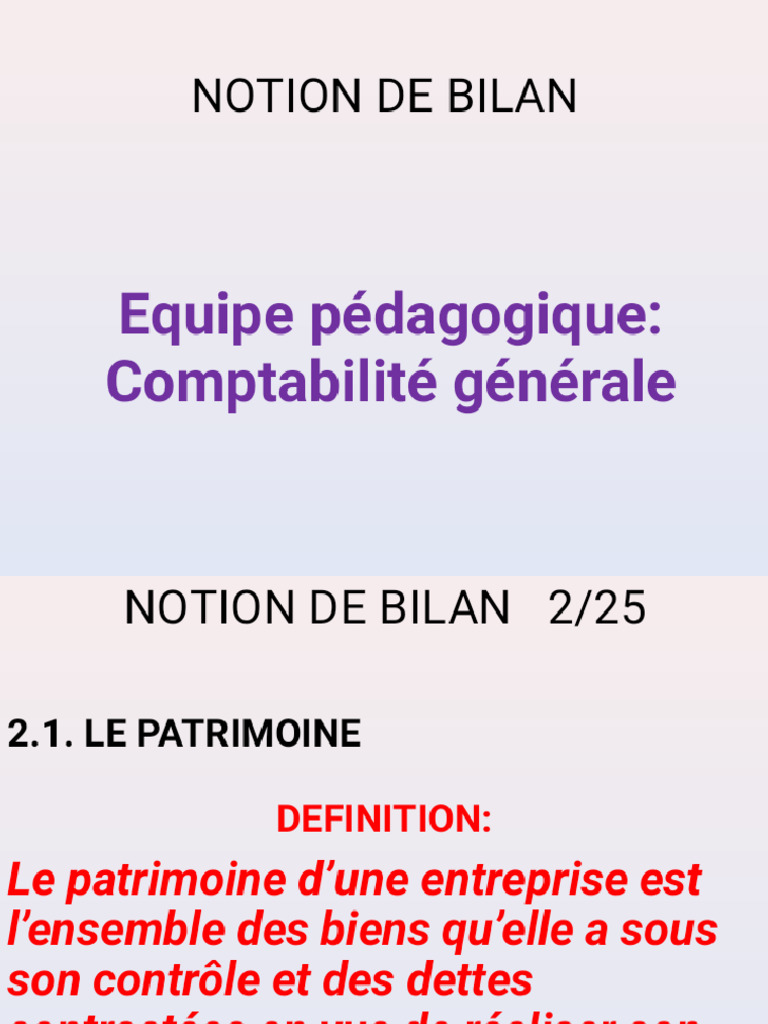 CHAPITRE 2 - NOTION DE BILAN - Phoenix | PDF
