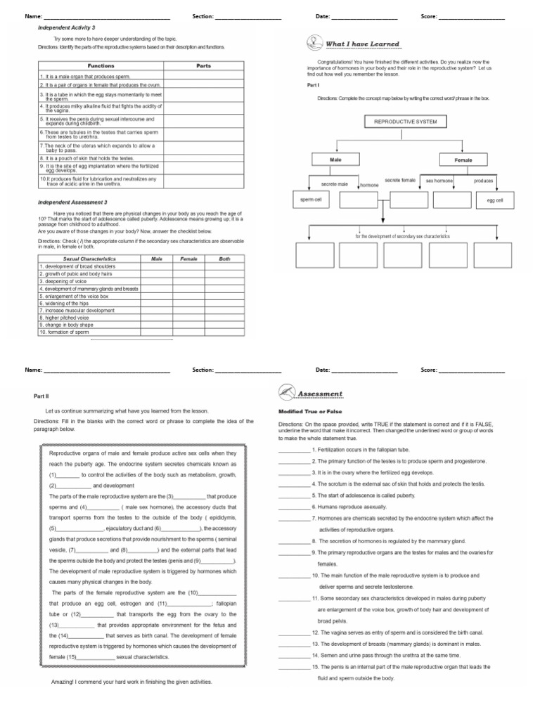 2024 Activities | PDF