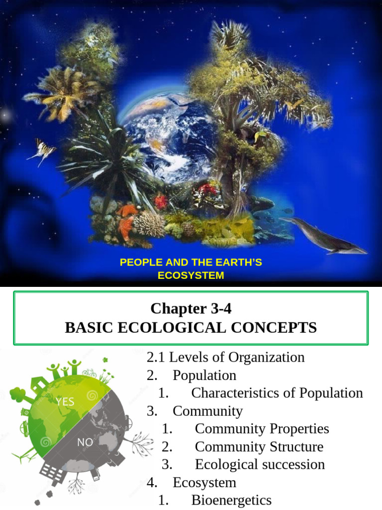 Chapter 3-4-Basic Ecological Concepts | PDF | Primary Production | Food Web