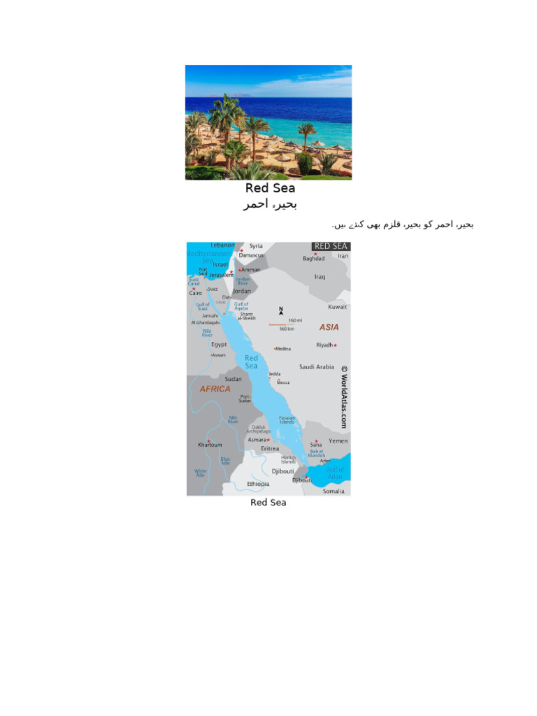 Exploring the Red Sea: Activities & Attractions | PDF