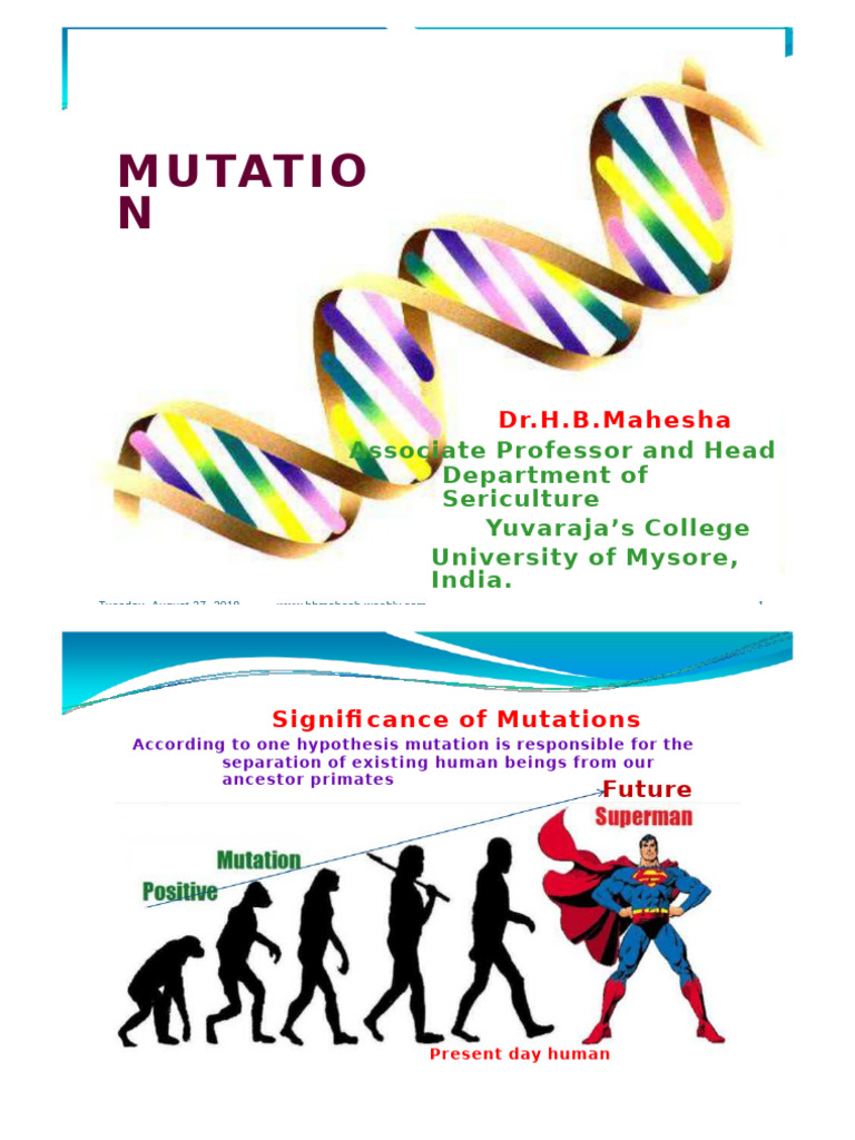 mutation_ppt. | PDF | Point Mutation | Dna