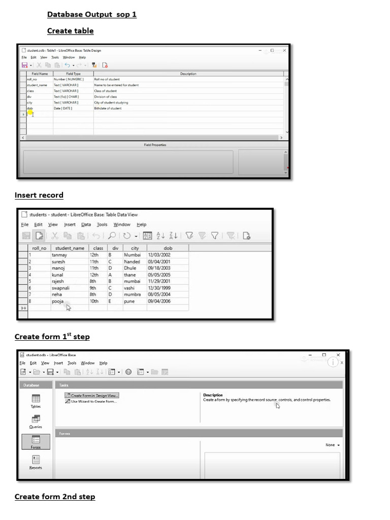UNIT 4 - Database Output Sop 1 - 2 - 3 - 12th Commerce | PDF