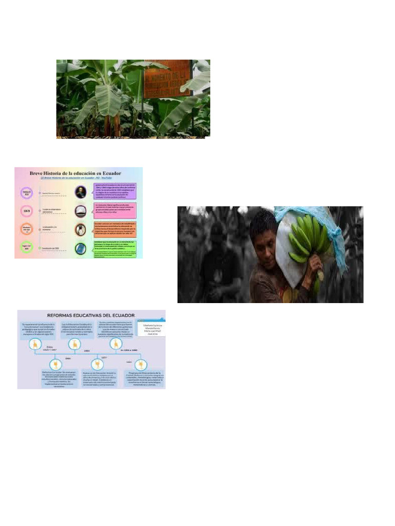 Documento Historia | PDF