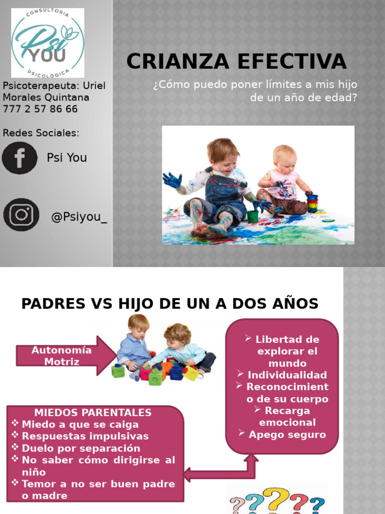 Crianza efectiva | PDF