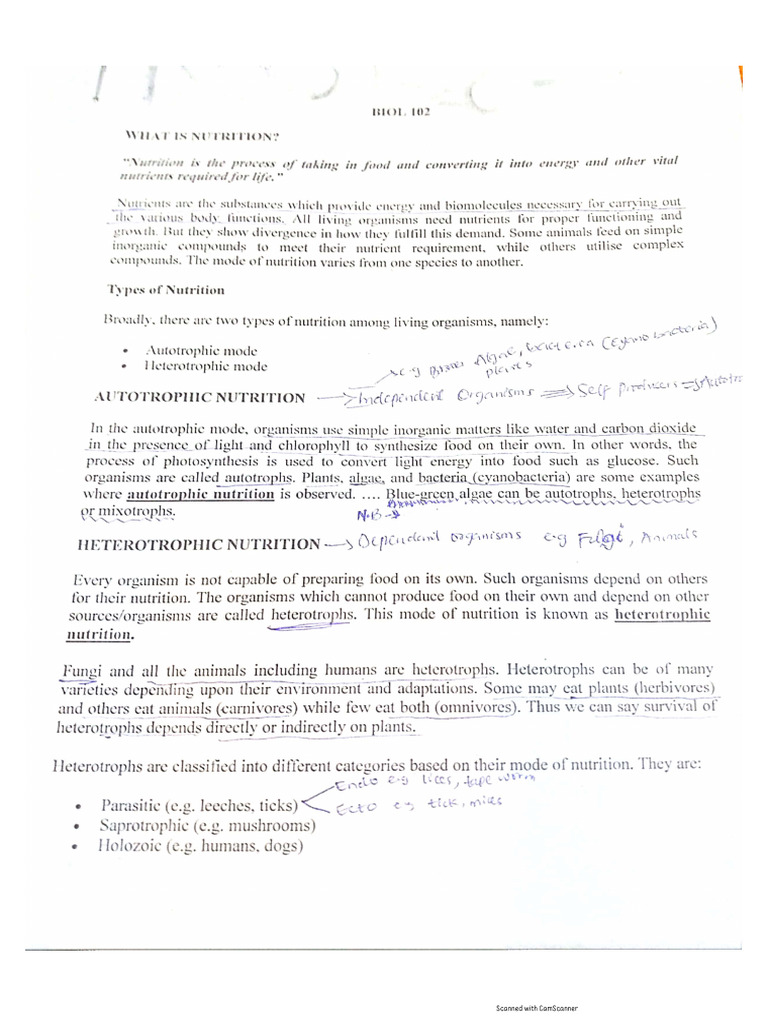 Bio 102 Nutrition-1 | PDF