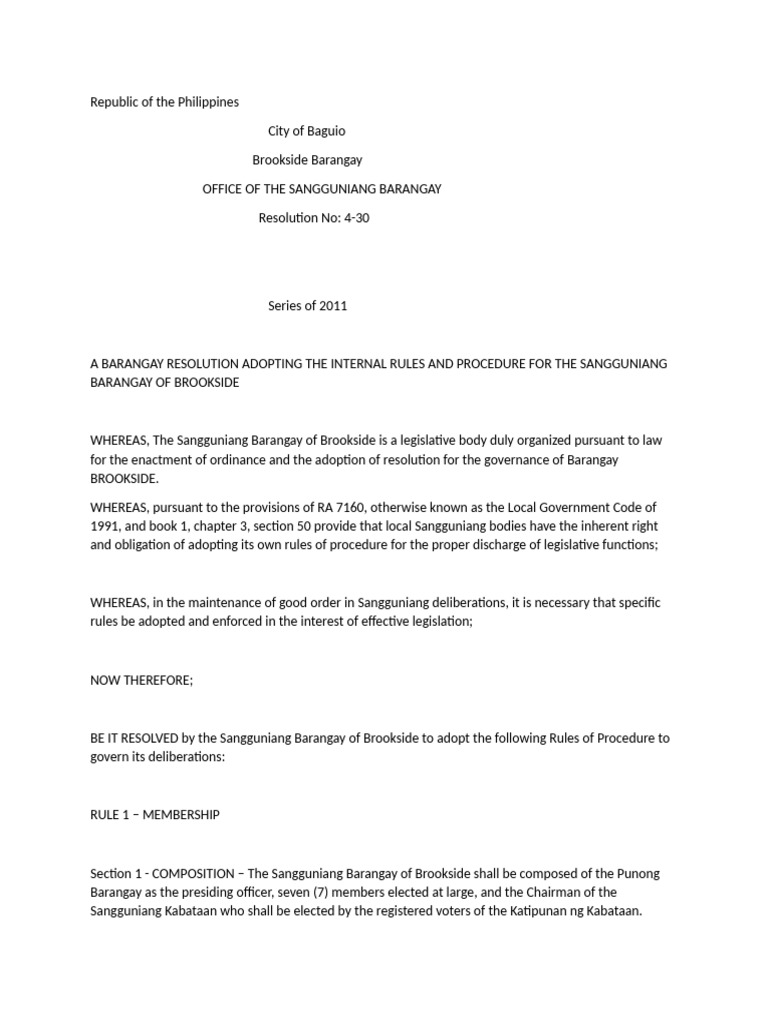 Sample Irp Barangay | PDF | Quorum