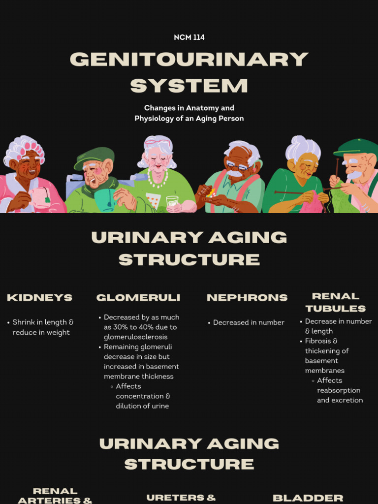 Genitourinary System PDF | PDF