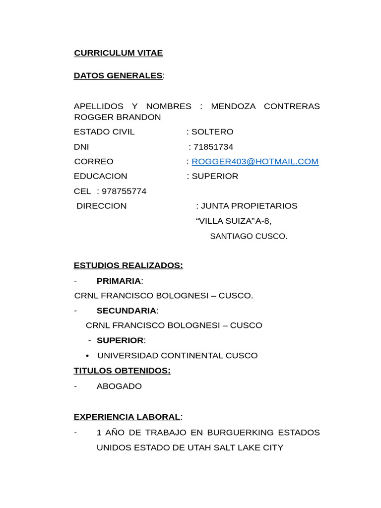 Cv Mendoza Rogger | PDF