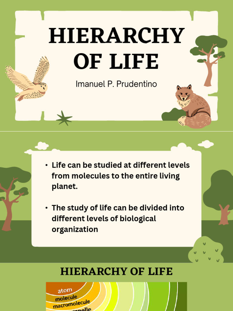 Understanding the Hierarchy of Life | PDF | Ecosystem | Pond