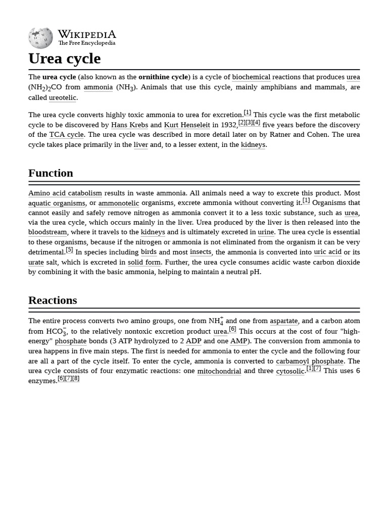 Urea_cycle | PDF | Metabolism | Biochemistry