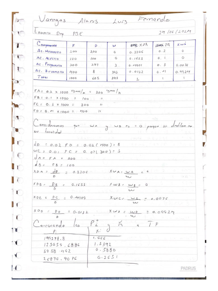 Vanegas Alanis Luis Fernando EXAMEN PSE | PDF